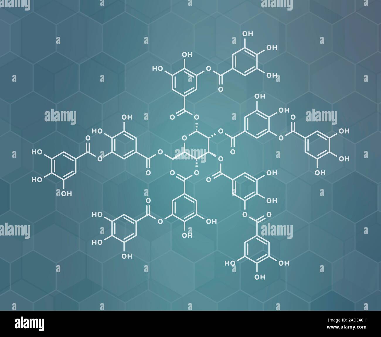 Tannic acid molecule (one isomer shown). Type of tannin. White skeletal ...