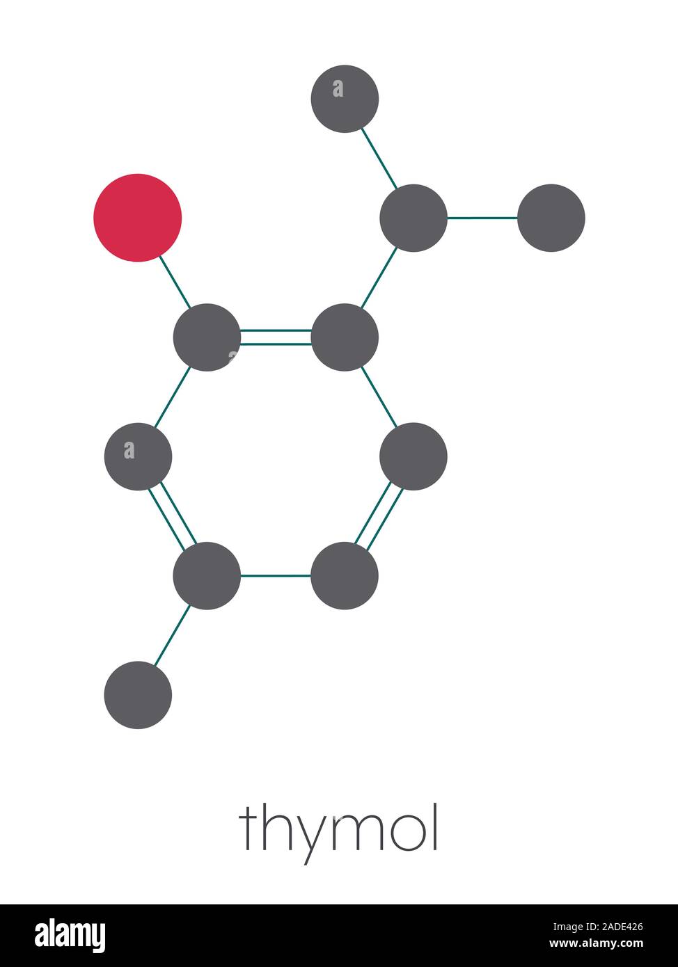 Thymol oil of thyme molecule. Present in kitchen herb Thymus vulgaris ...