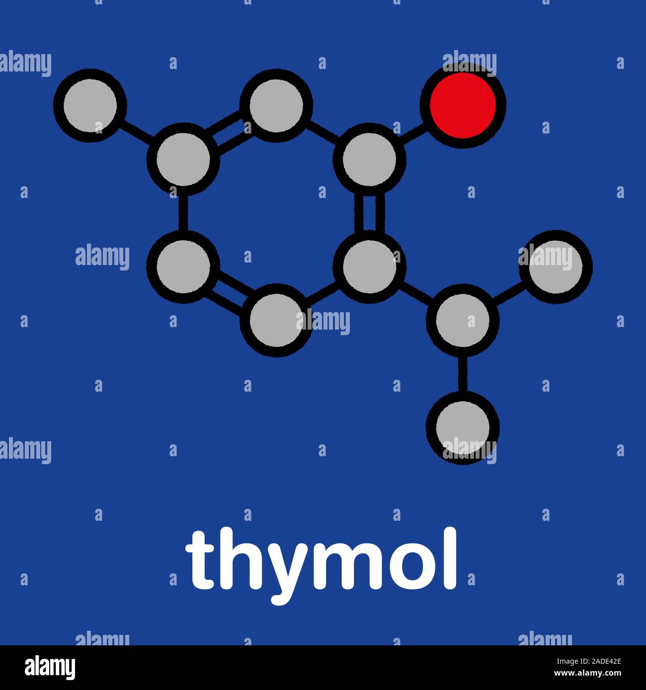 Thymol oil of thyme molecule. Present in kitchen herb Thymus vulgaris ...