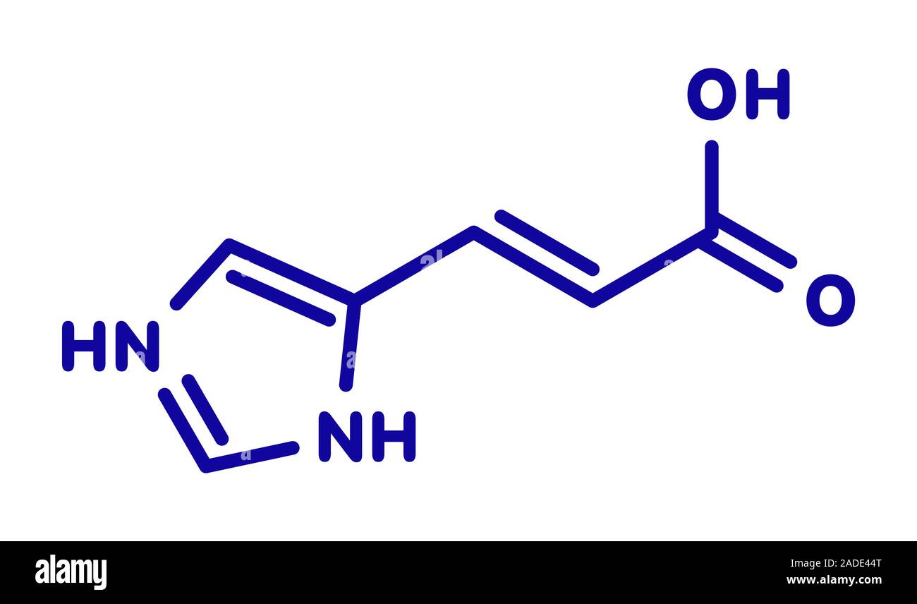 Urocanic acid molecule. Breakdown product of histidine. Blue skeletal ...