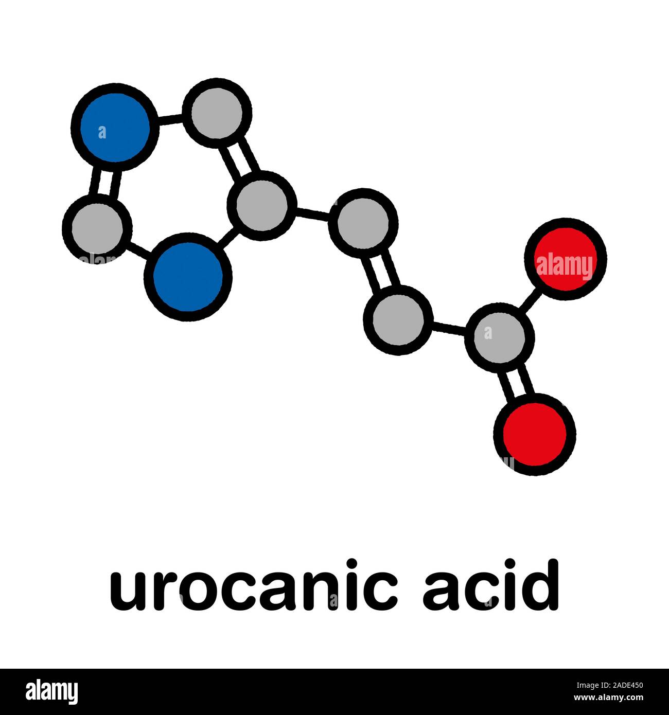 Urocanic acid molecule. Breakdown product of histidine. Stylized ...