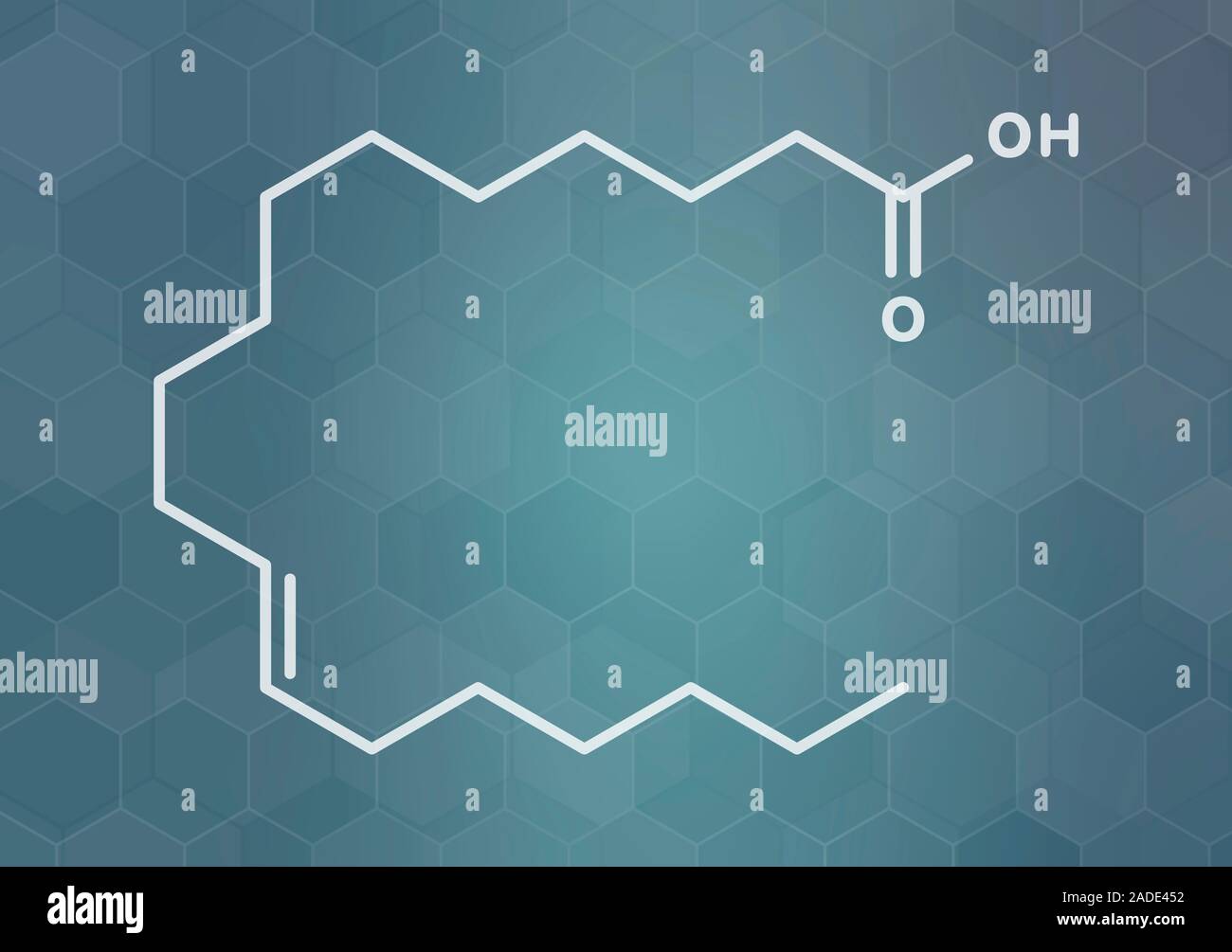 Vaccenic acid molecule. Trans fatty acid, present in animal fat and ...