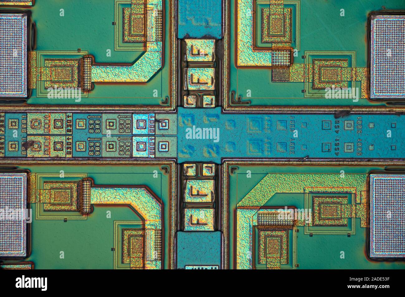 Microchip surface. Differential interference contrast (DIC) light ...