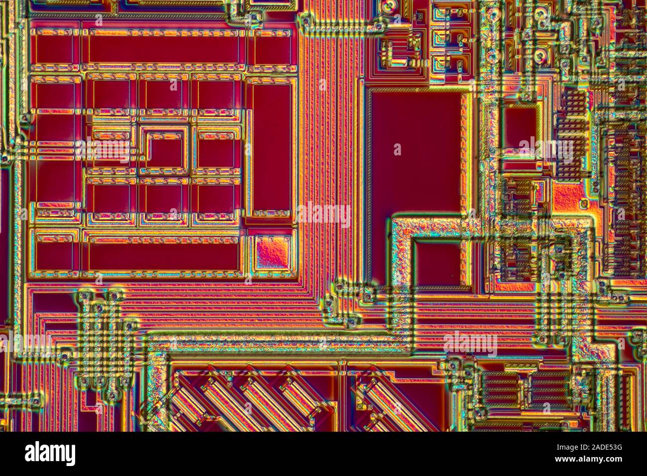 Microchip surface. Differential interference contrast (DIC) light ...