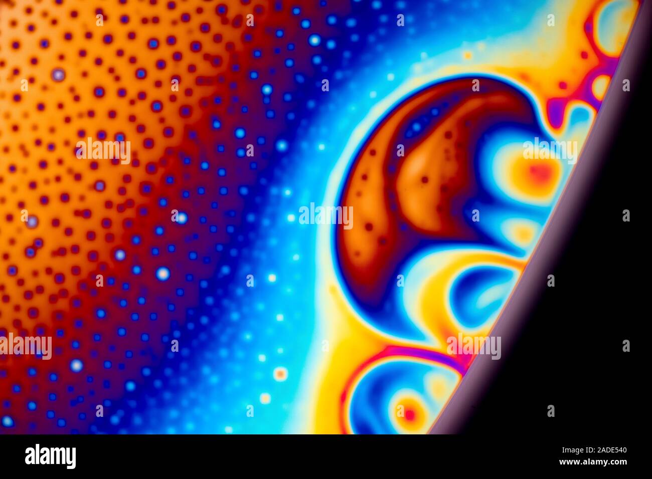 Soap bubble film iridescence. Light micrograph of the surface of a ...