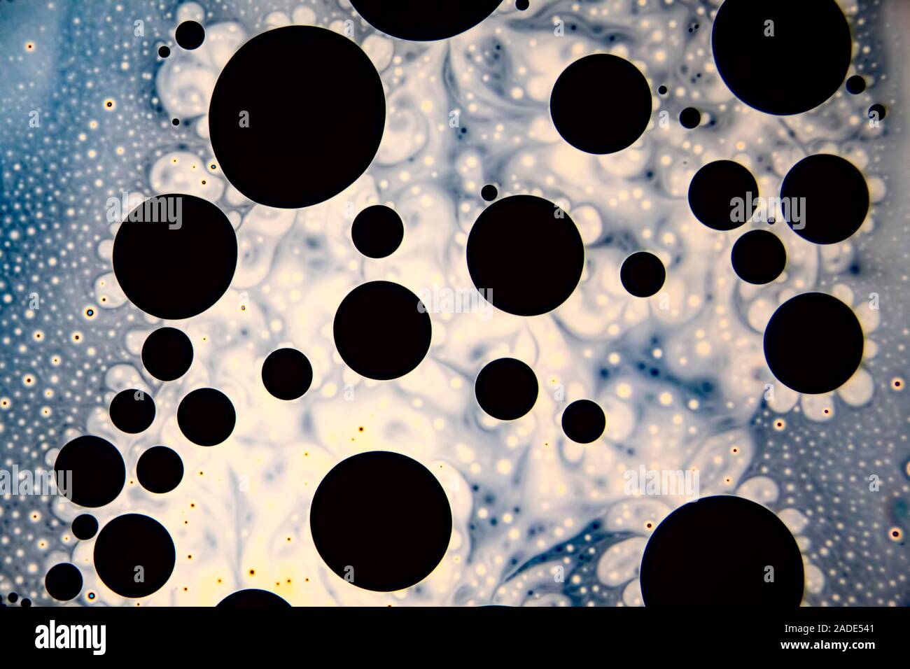 Soap bubble film iridescence. Light micrograph of the surface of a ...