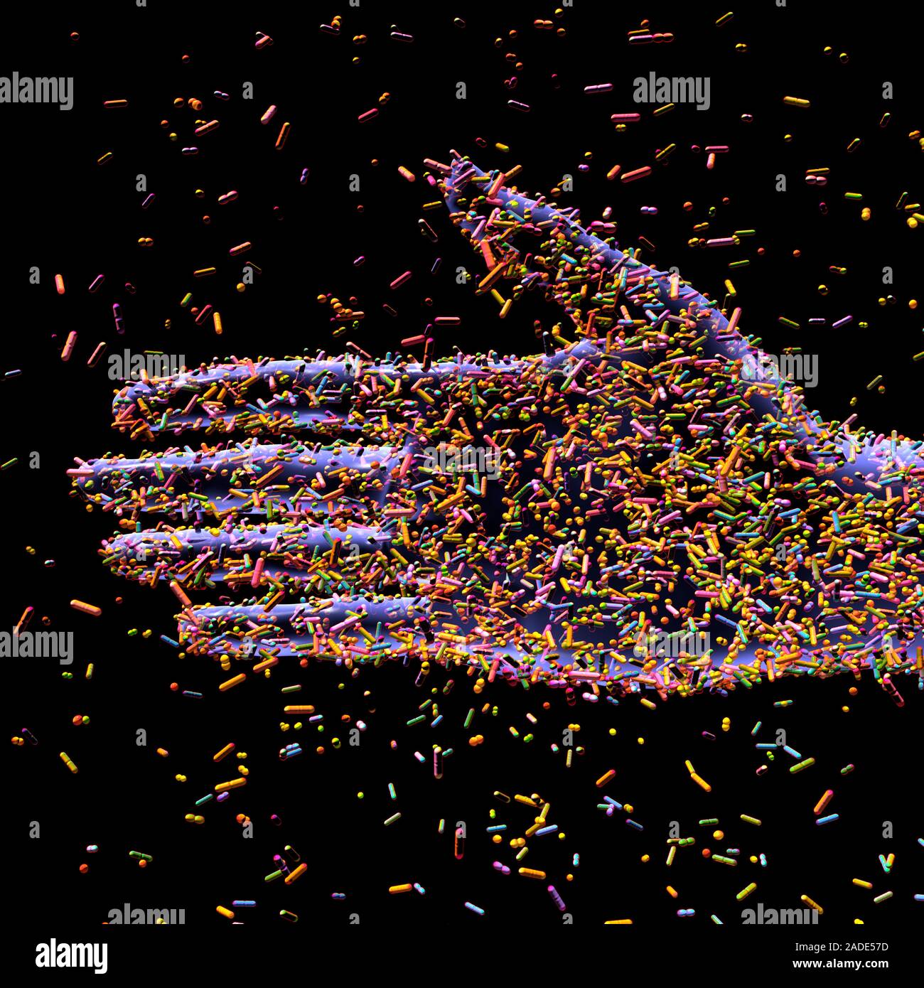 This image may not be used in educational posters Hand microbiome ...