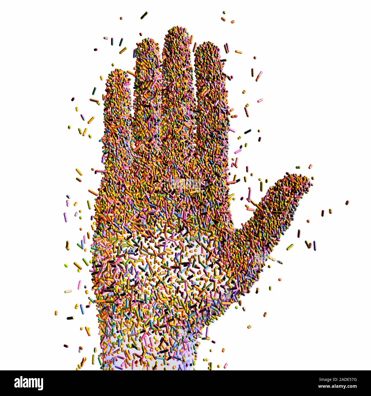 This image may not be used in educational posters Hand microbiome ...