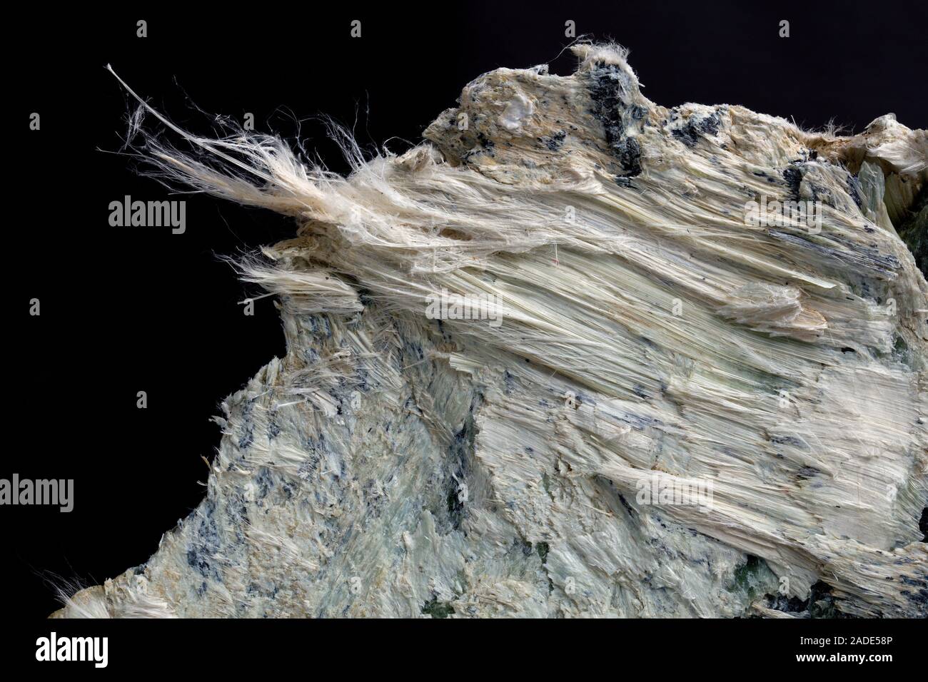 Sample of fibrous asbestos. Asbestos is a set of six naturally ...