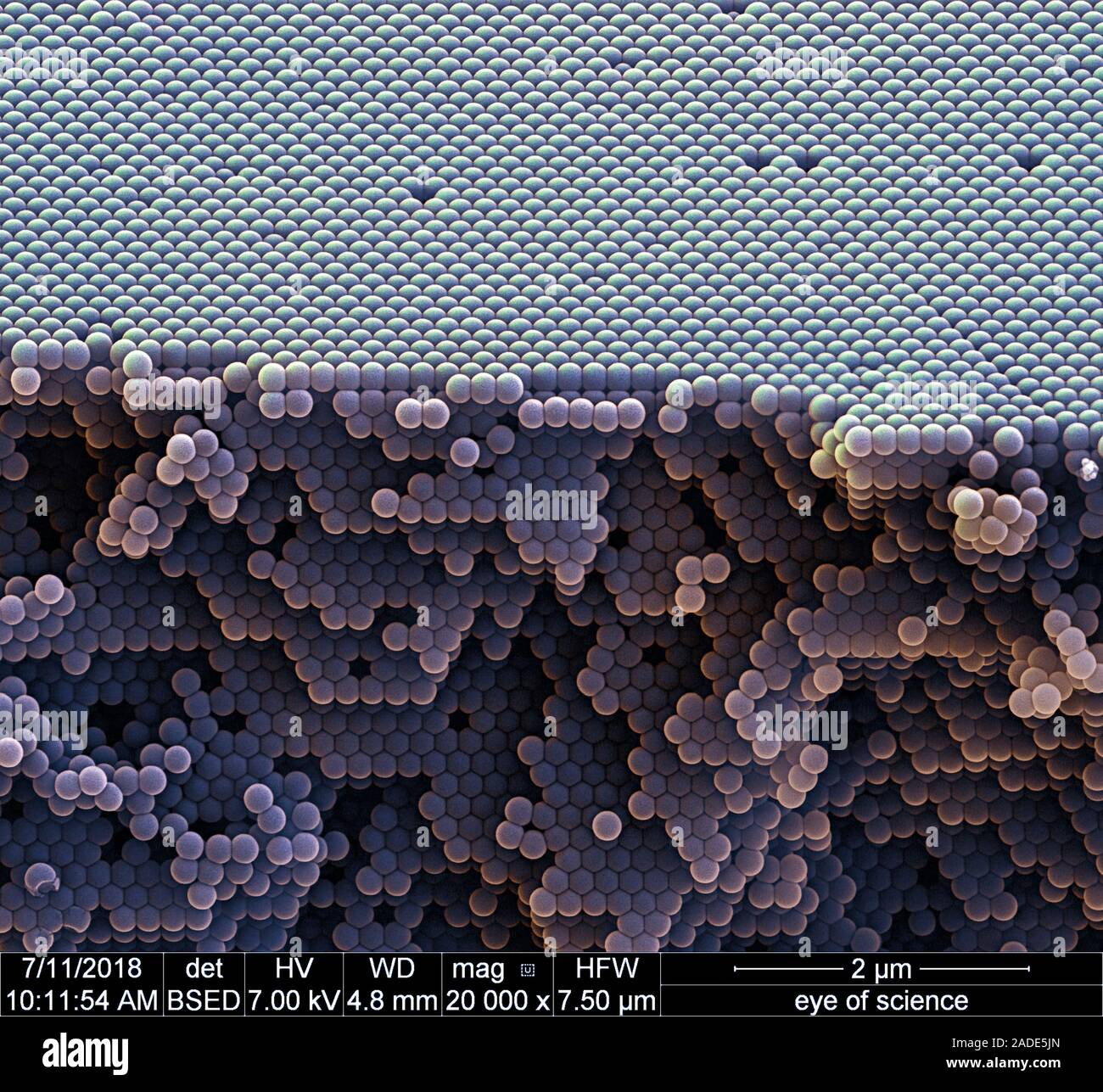 Opal cubic zirconia. Coloured scanning electron micrograph (SEM ...