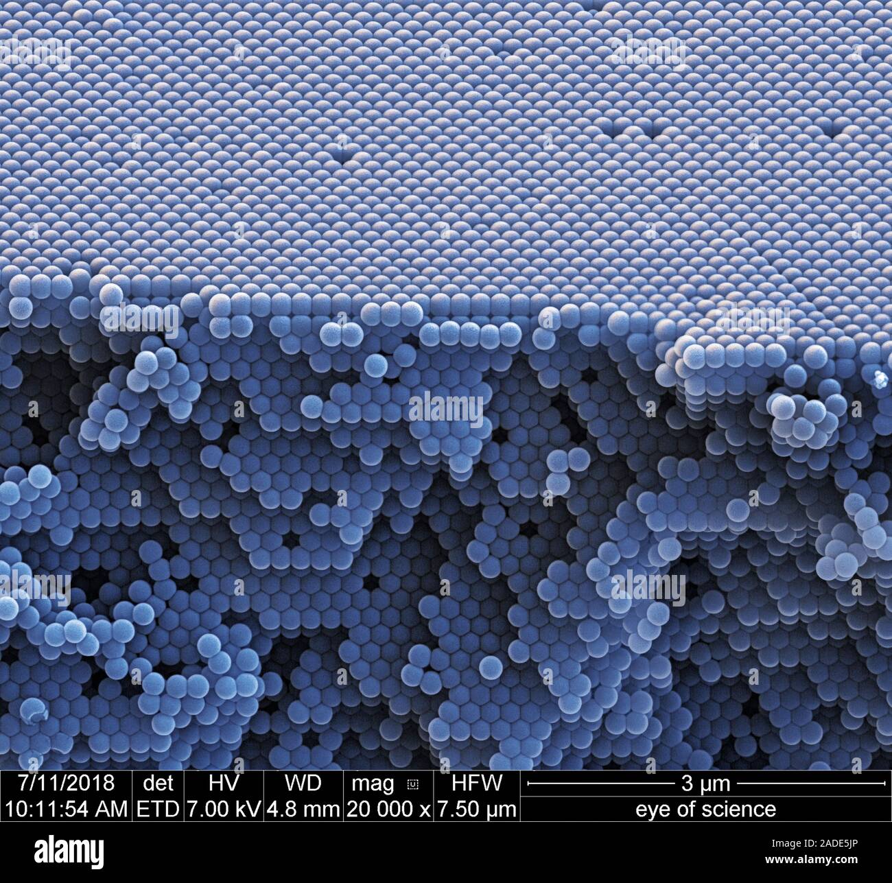 Opal cubic zirconia. Coloured scanning electron micrograph (SEM ...