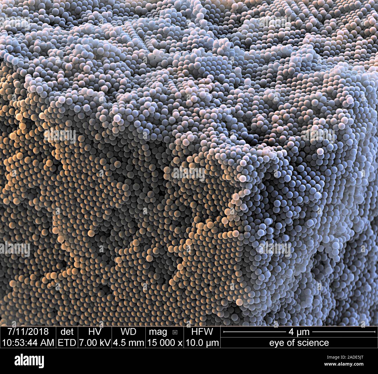 Opal cubic zirconia. Coloured scanning electron micrograph (SEM ...