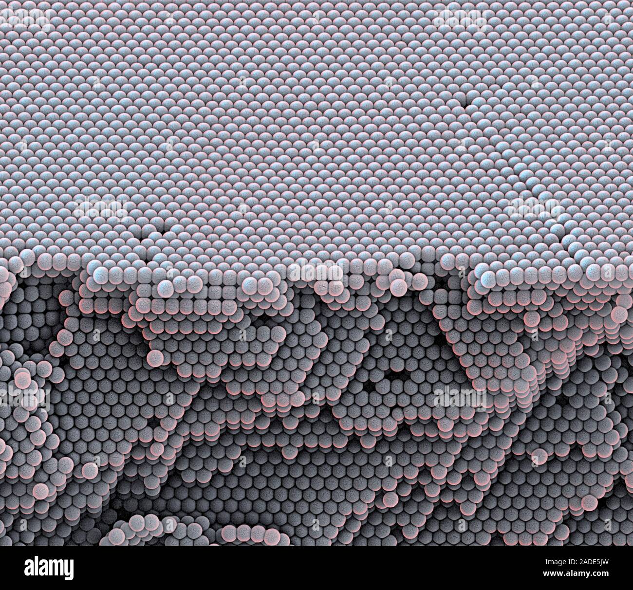Opal cubic zirconia. Coloured scanning electron micrograph (SEM ...