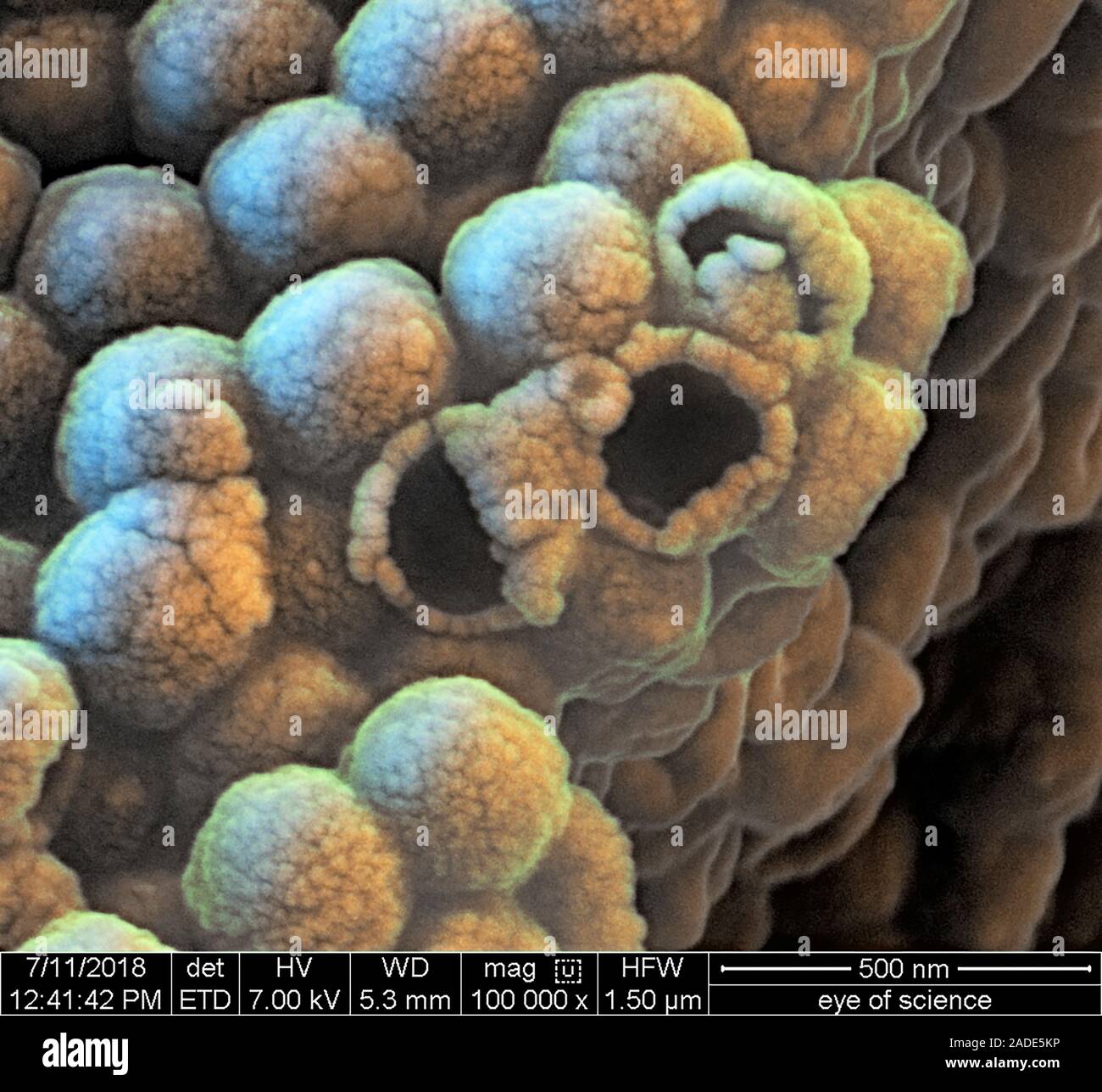 Opal photonic glass. Coloured scanning electron micrograph (SEM) of ...