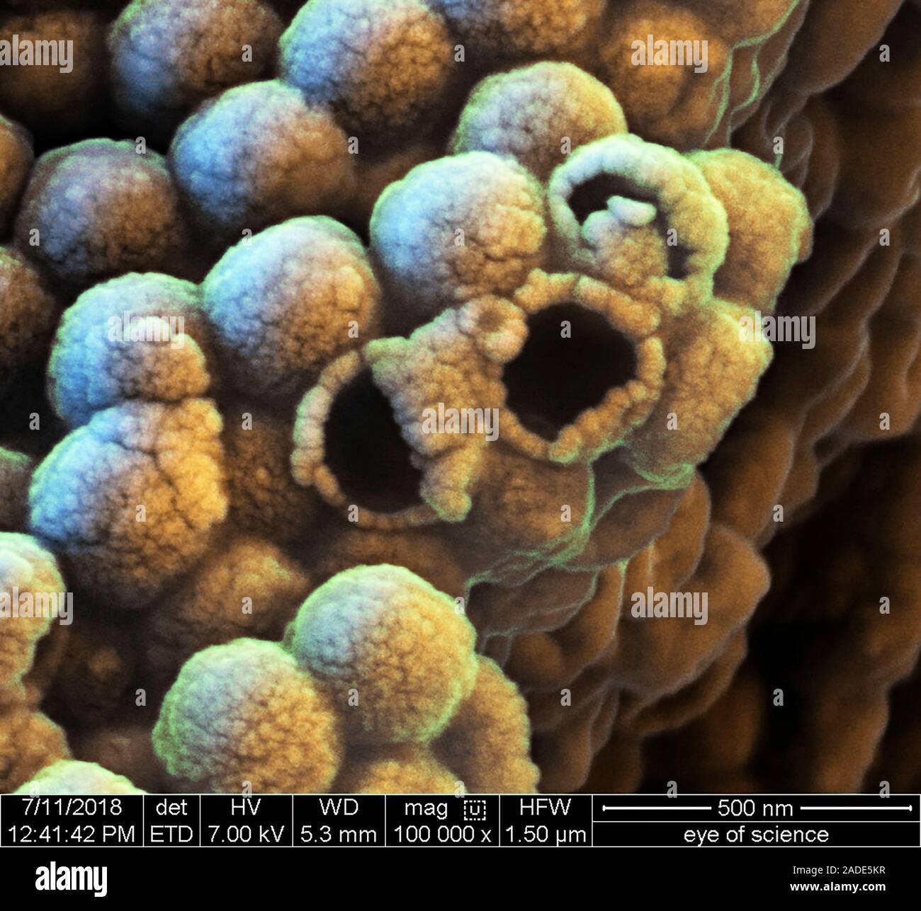 Opal photonic glass. Coloured scanning electron micrograph (SEM) of ...