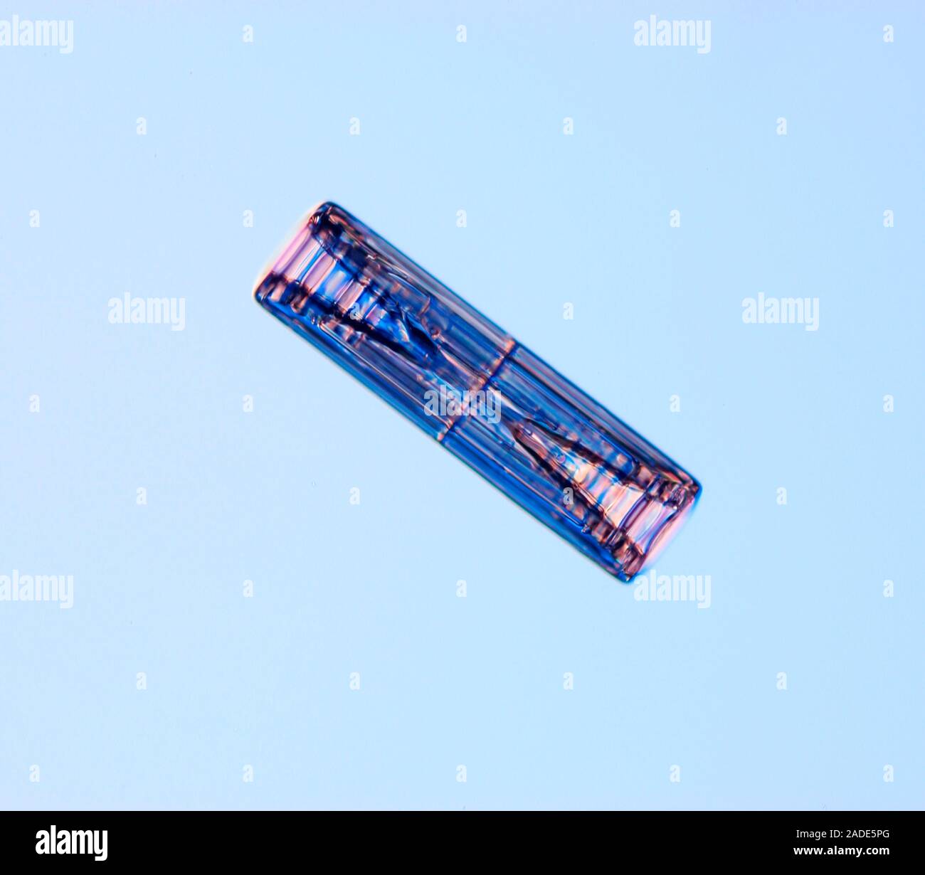 Snowflake simple crystal. Light micrograph of a simple prism snowflake ...