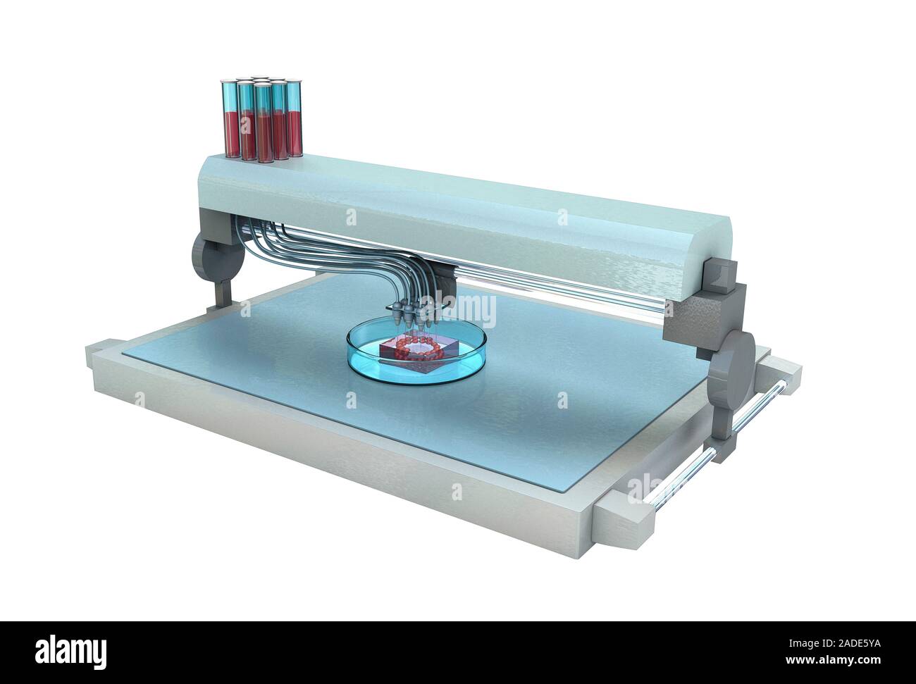 3D-bioprinting, illustration. Three-dimensional (3D) bioprinting allows ...