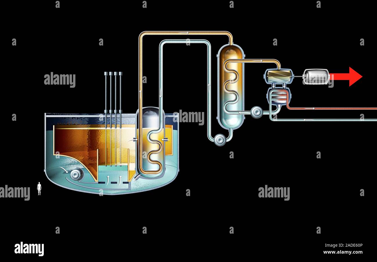 Sodium-cooled fast reactor. Diagram of the workings of a sodium-cooled ...