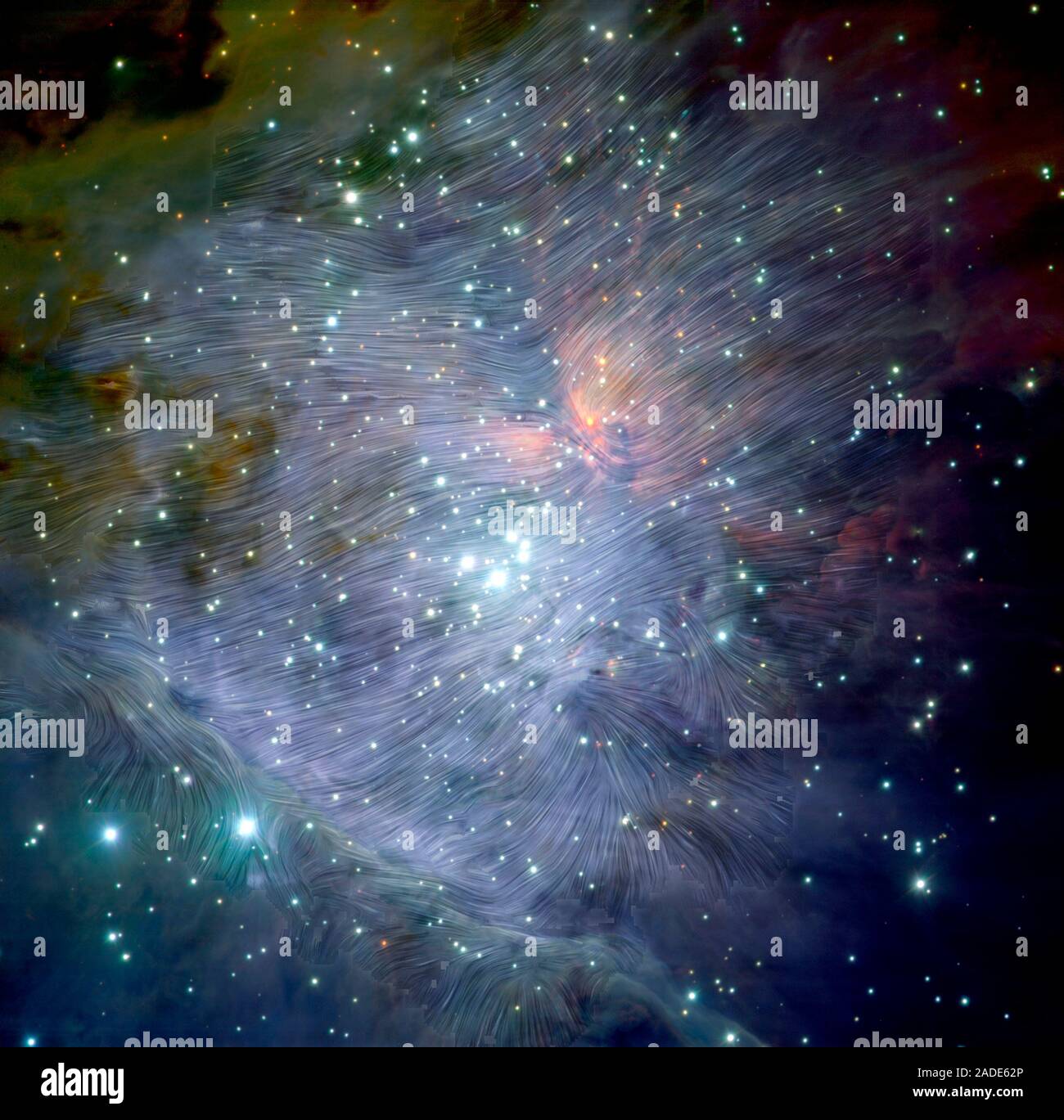 Magnetic Fields in the Orion Nebula. Composite image showing magnetic ...