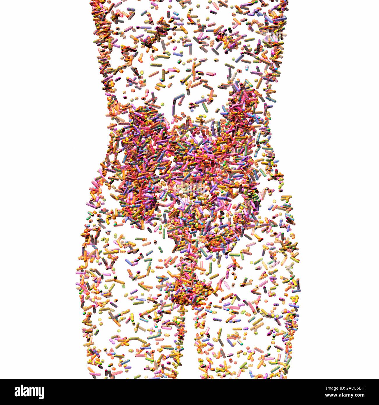 This image may not be used in educational posters Human microbiome ...