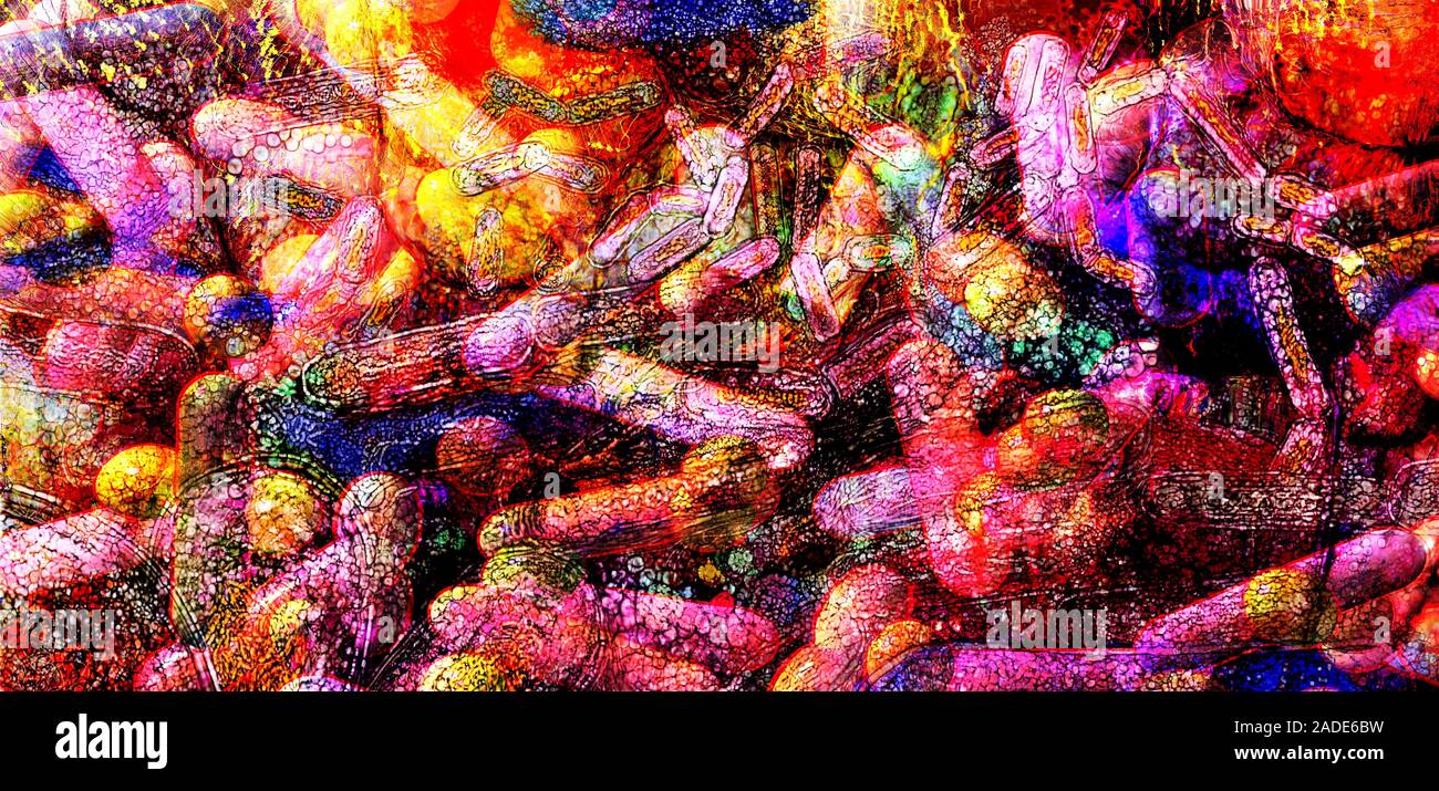 This image may not be used in educational posters Human microbiome ...