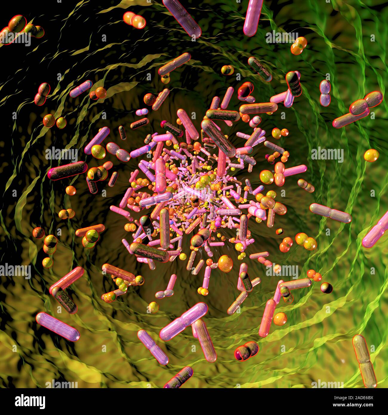 This image may not be used in educational posters Human microbiome ...