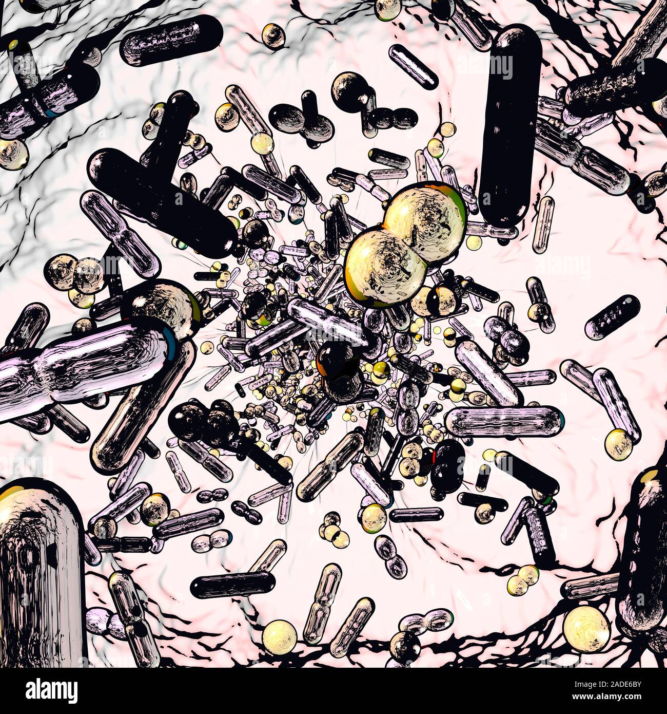 This image may not be used in educational posters Human microbiome ...