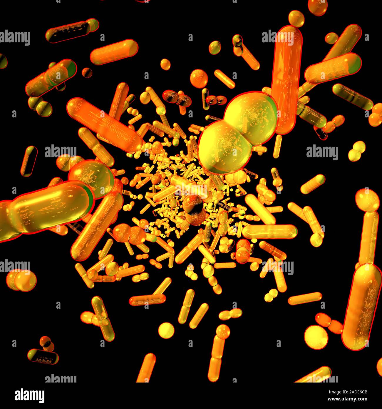 This image may not be used in educational posters Human microbiome ...