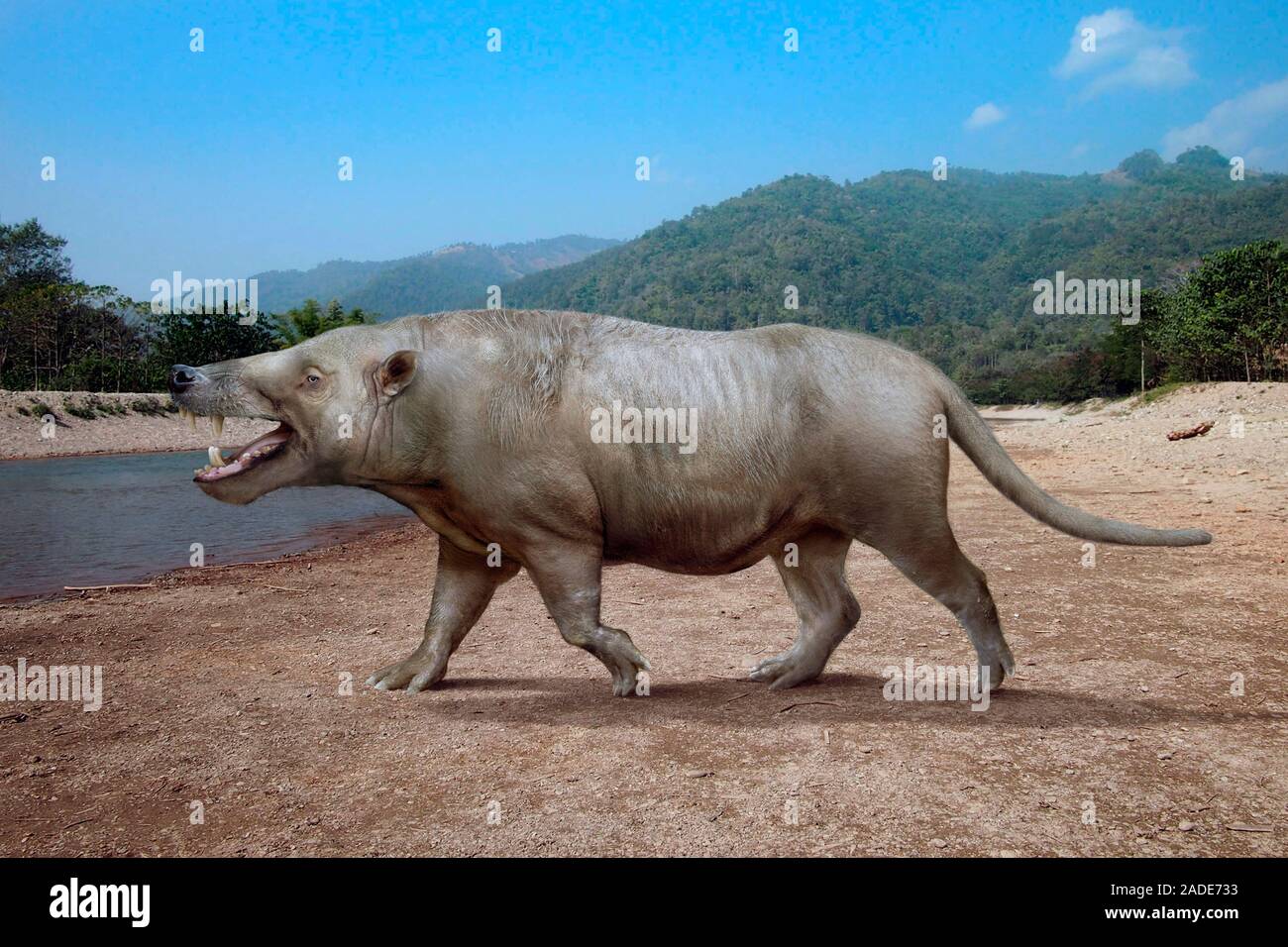 Andrewsarchus. Illustration and photo-reconstruction Andrewsarchus ...