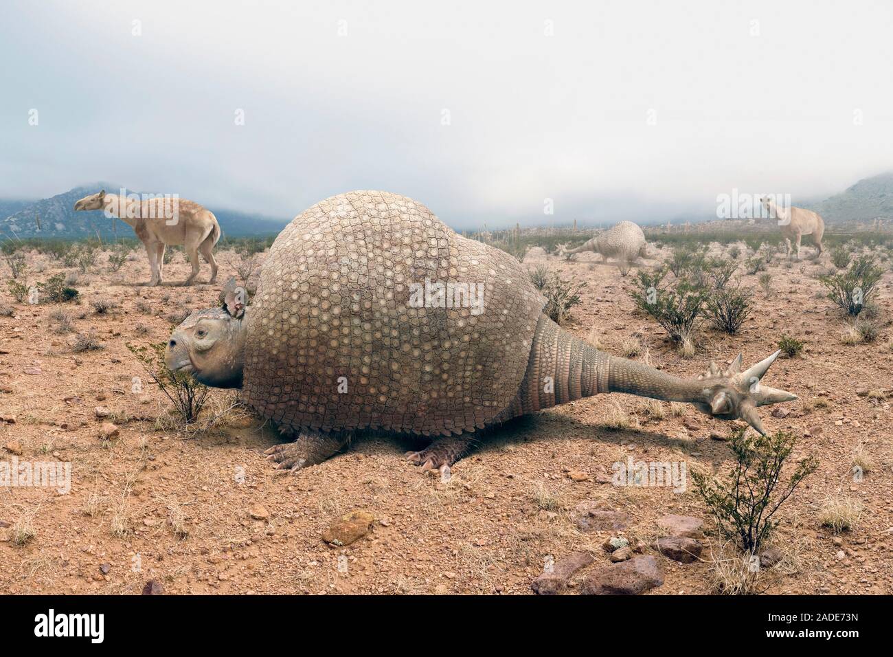 Doedicurus clavicaudatus. Illustration of the largest prehistoric ...