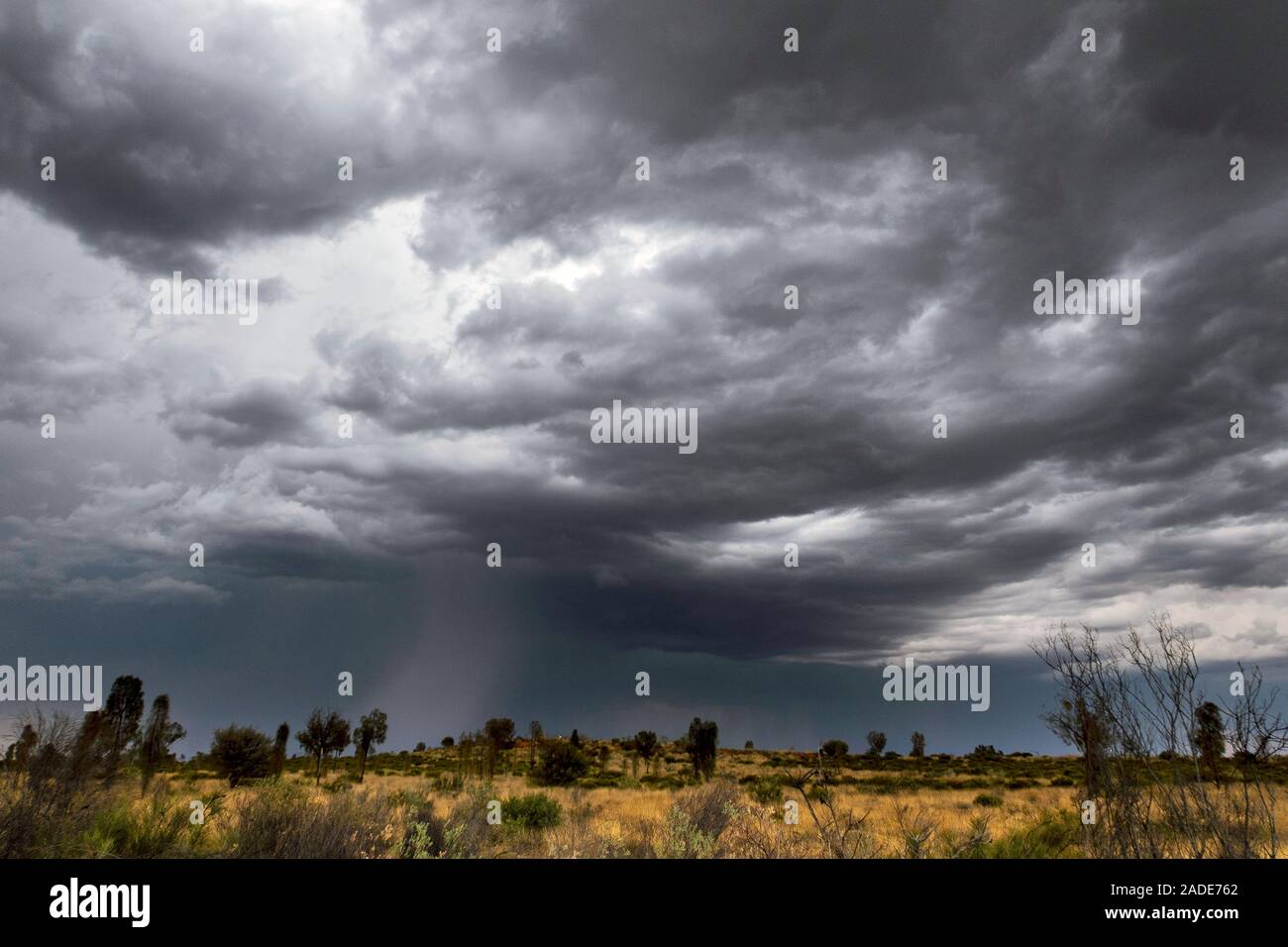 Thunderstorm in the Australian Outback in spring. This storm produced ...