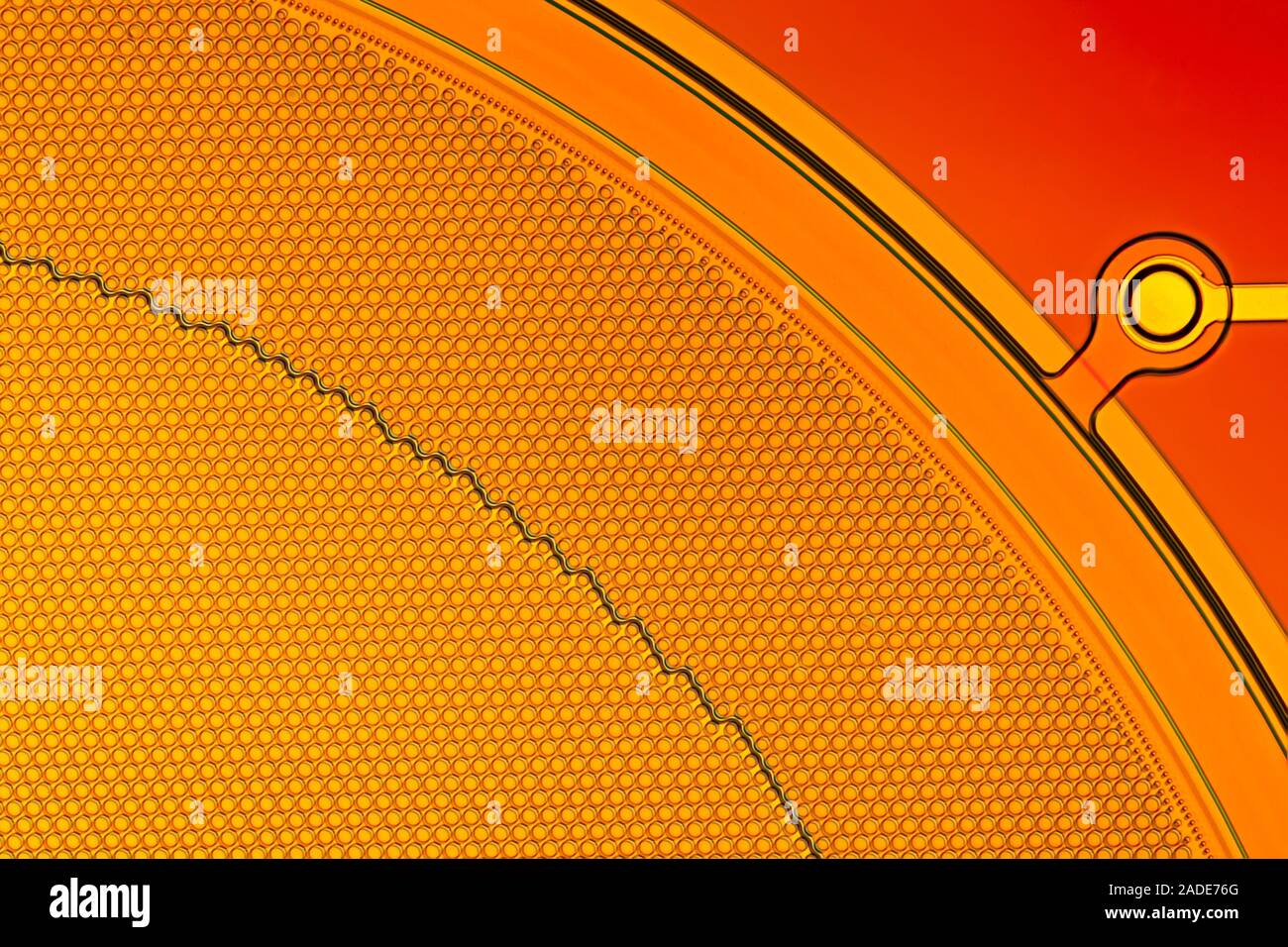 Infineon MEMS (MicroElectroMechanical System) microphone wafer. MEMS ...