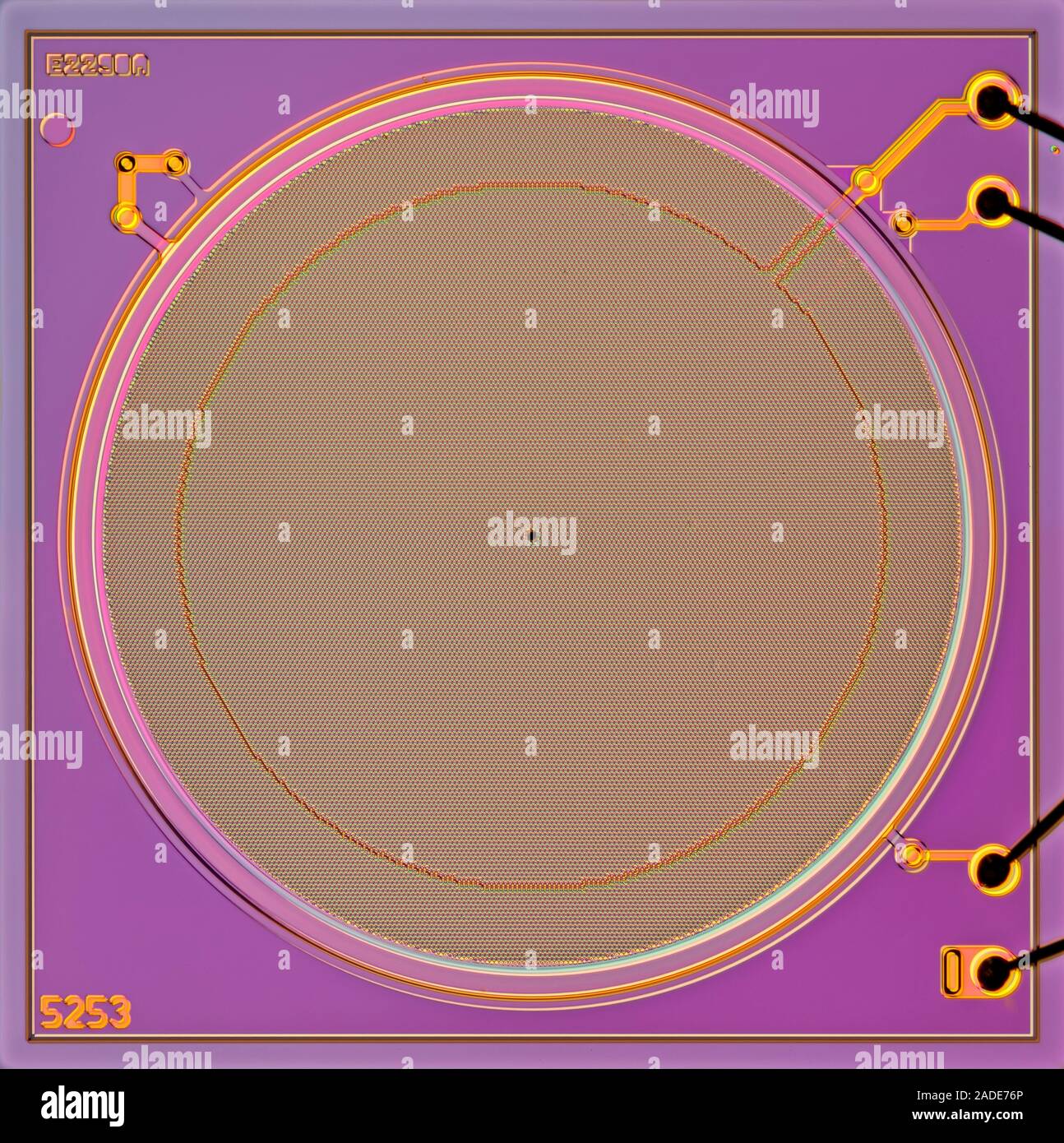 Infineon MEMS (MicroElectroMechanical System) microphone wafer. MEMS ...