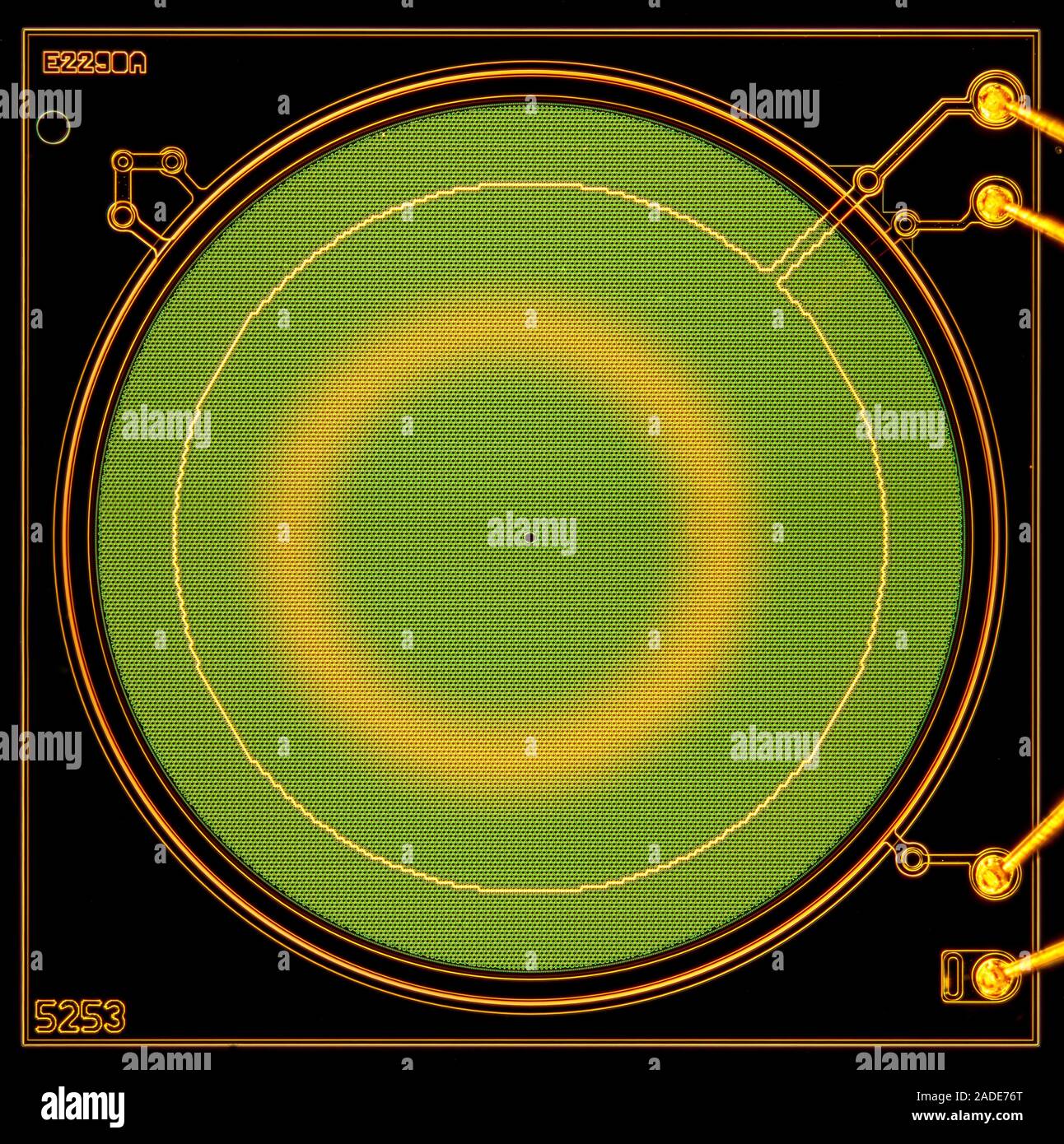 Infineon MEMS (MicroElectroMechanical System) microphone wafer. MEMS ...