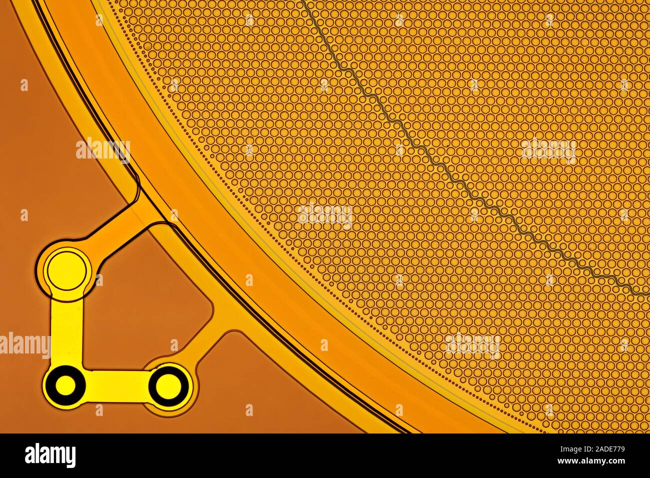 Infineon MEMS (MicroElectroMechanical System) microphone wafer. MEMS ...