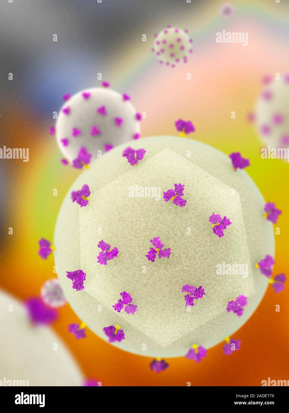 Illustration of HTLV-1 virus particles (virions). Human T-lymphotropic ...