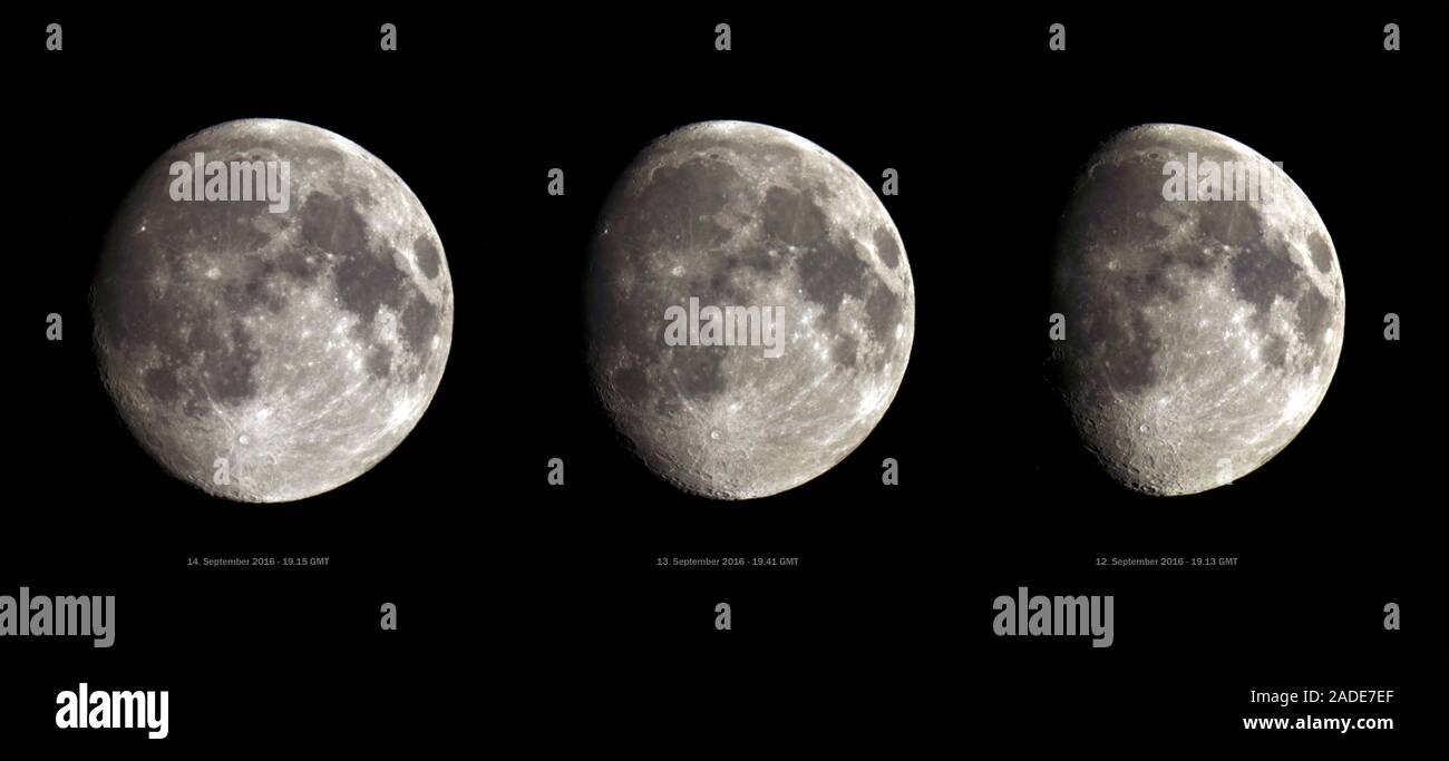 Three photographs of the Moon, each 24 hours apart. One day later ...
