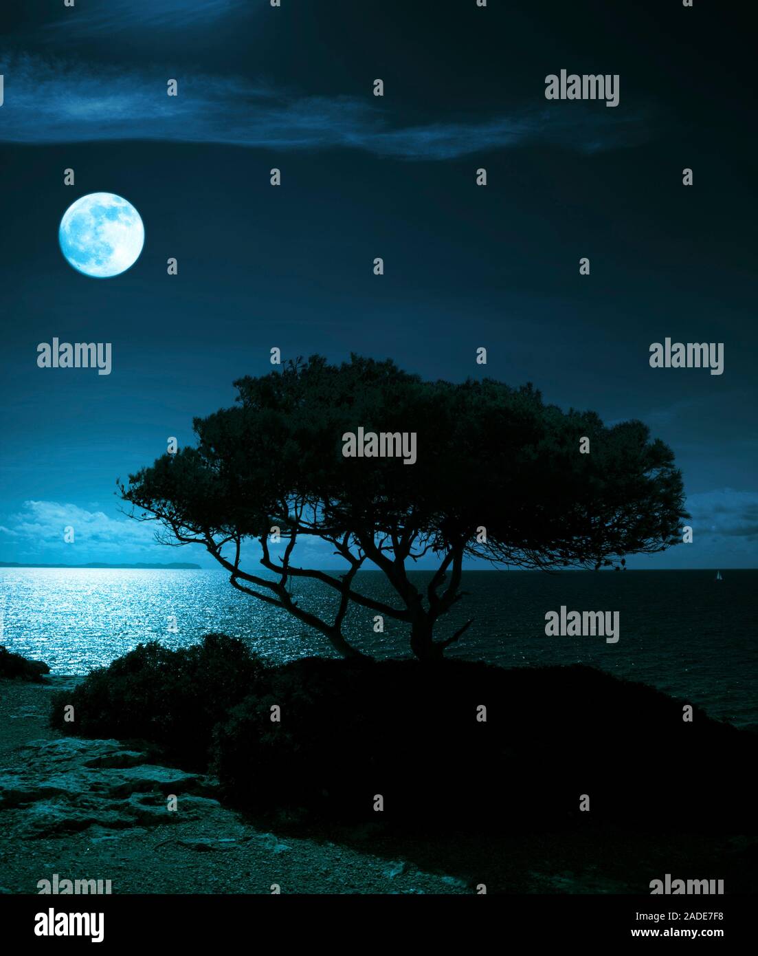 Full Moon rising over water Stock Photo - Alamy