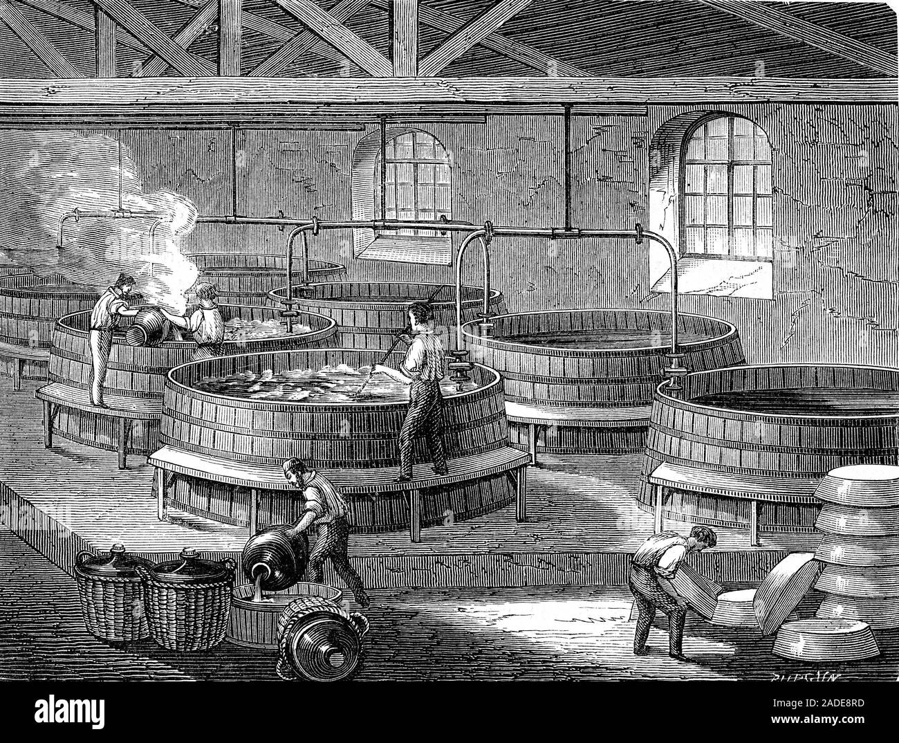 Tallow production, 19th-century illustration. Tallow is a rendered form ...