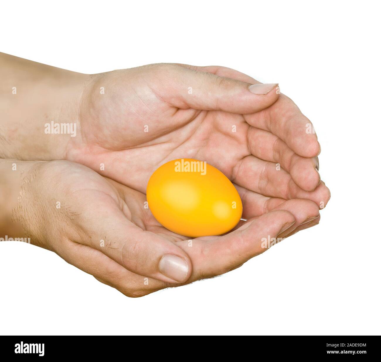 Golden egg nest hands hi-res stock photography and images - Alamy