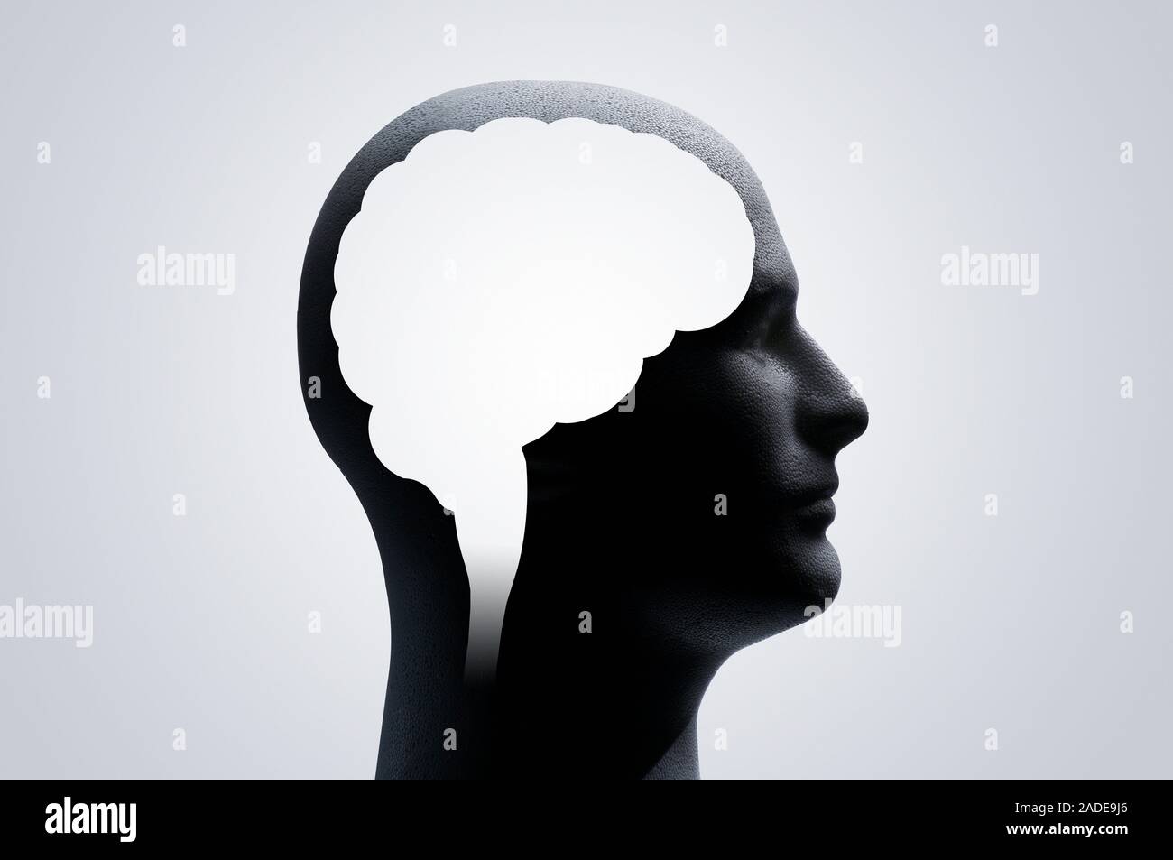 Empty brain, composite image Stock Photo - Alamy