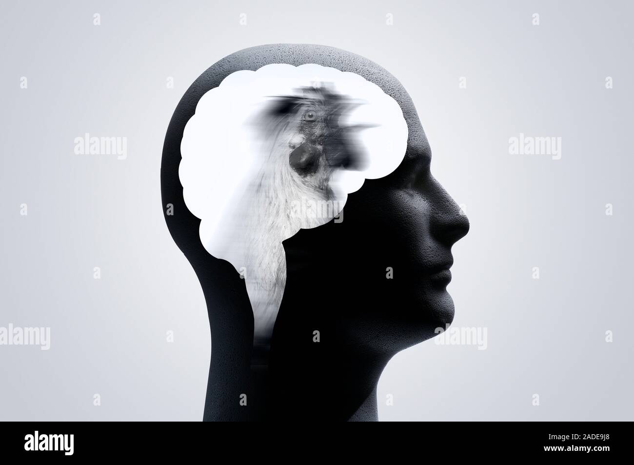 Masculinity, conceptual image Stock Photo - Alamy