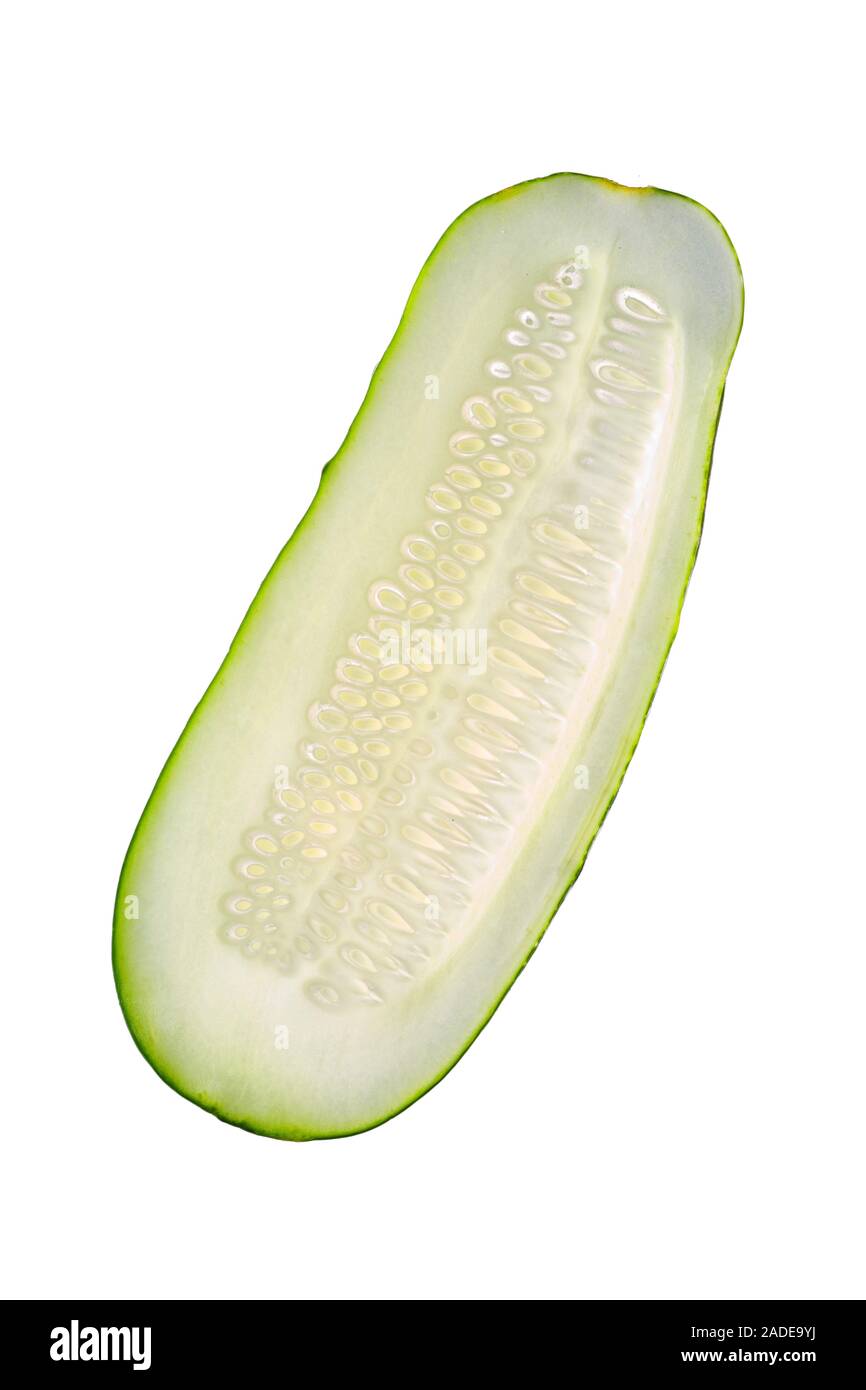 Lengthways slice of fresh cucumber against white background Stock Photo ...