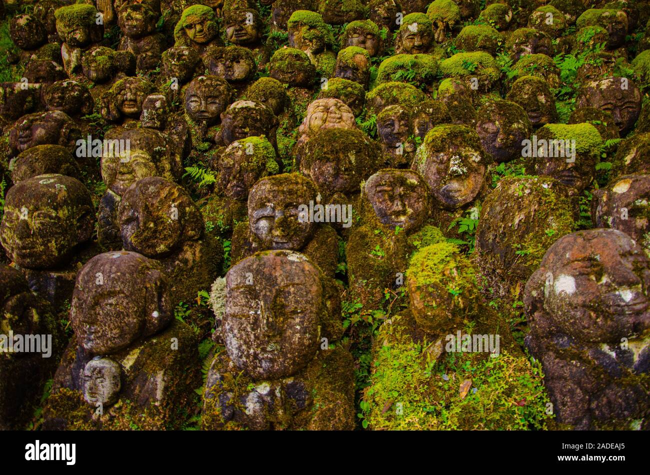 Buddhist statues moss hi-res stock photography and images - Alamy