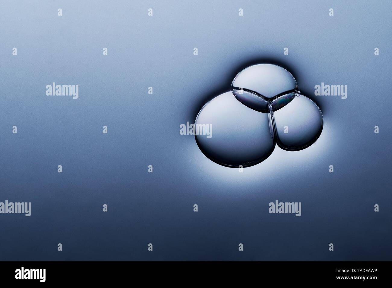 Three air bubbles overlapping on smooth dark liquid surface Stock Photo ...