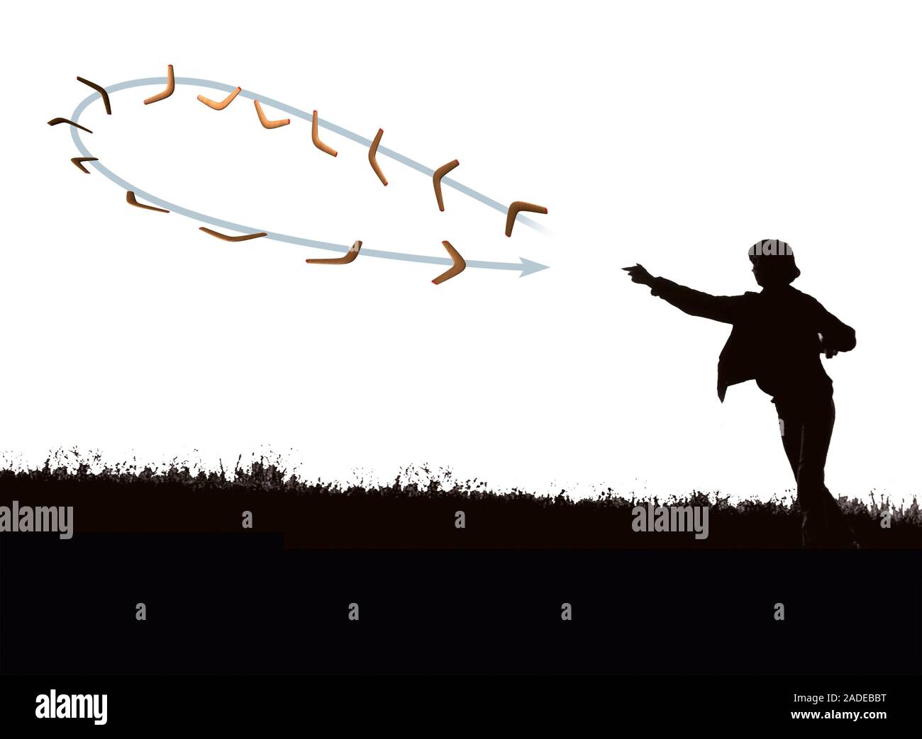 Boomerang flight mechanics, illustration. Silhouetted human figure ...