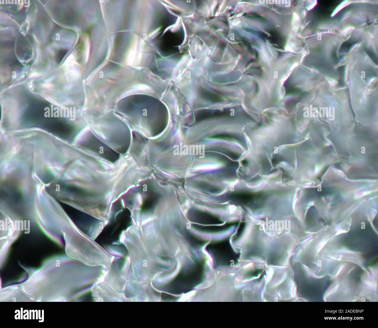 Plastic glue, light micrograph. This is a sample of an epoxy resin glue ...