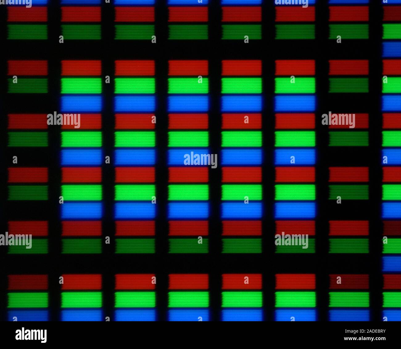 Liquid crystal display grid. Light micrograph of part of the grid of ...