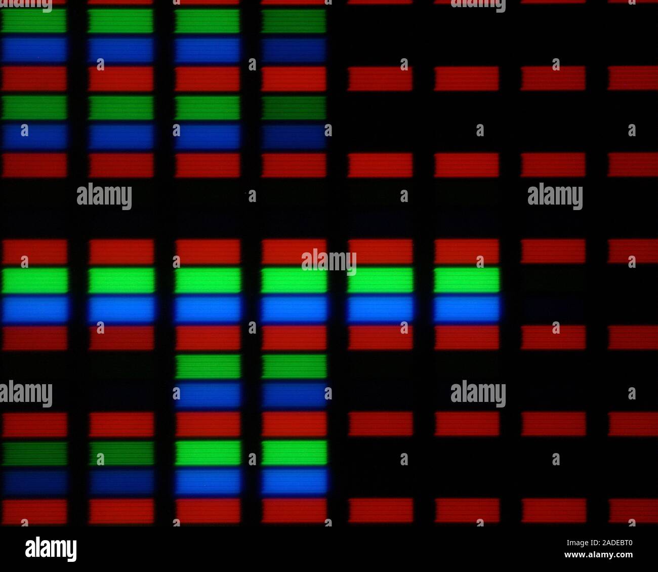 Liquid crystal display grid. Light micrograph of part of the grid of ...