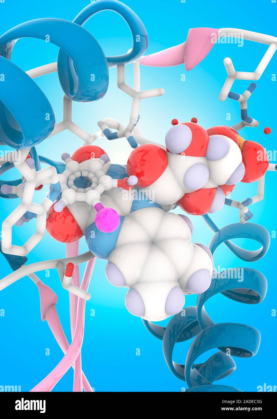 Illustration of the active site of iodothyronine deiodinase enzyme ...